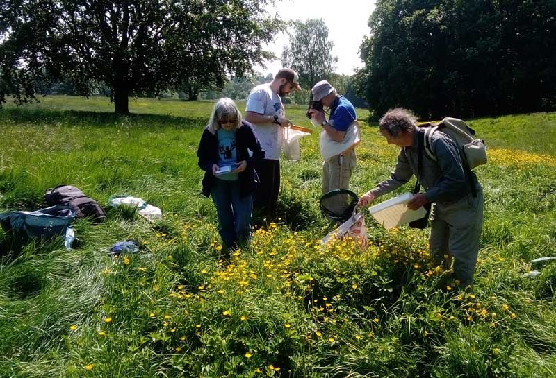 DaNES - Derbyshire & Nottinghamshire Entomological Society - index